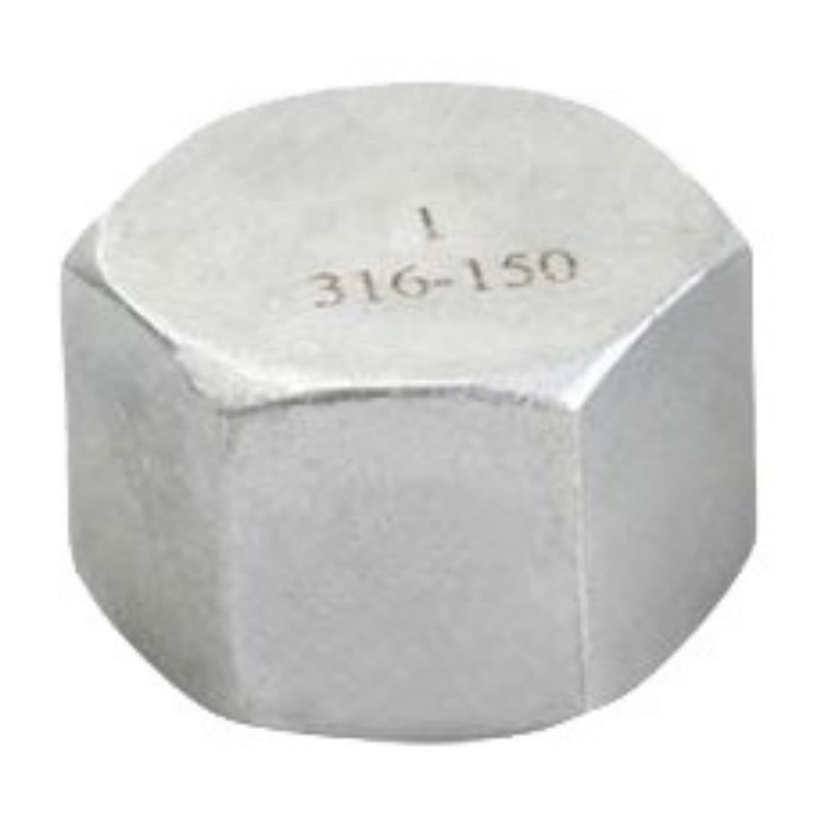 HEX CAP SS 304