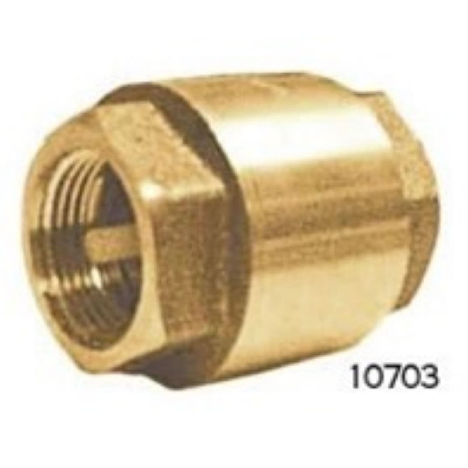 In-Line Brass Spring Check Valves - SS Spring IPS