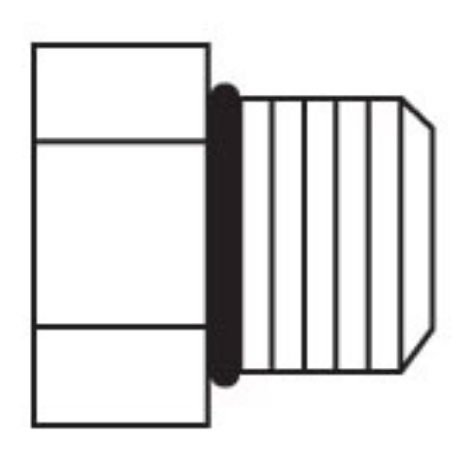 Male O-Ring Hex Head Plug